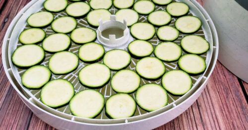 Dehydrated Zucchini Chips Recipe - Happy Mothering