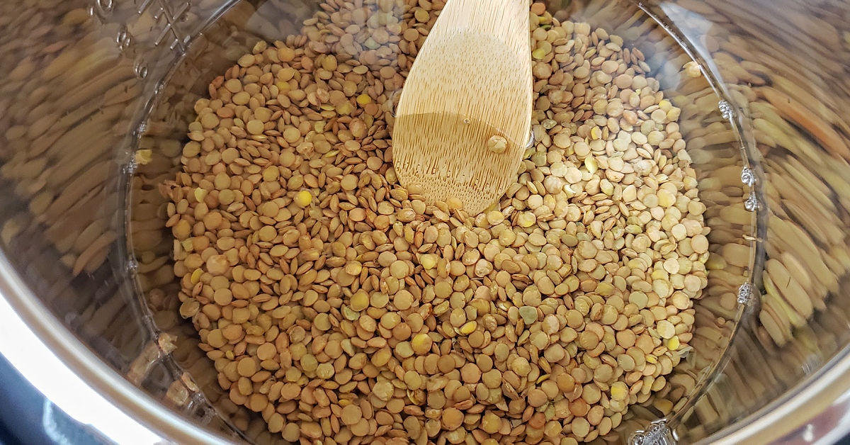 Easy Instant Pot Lentils - Happy Mothering
